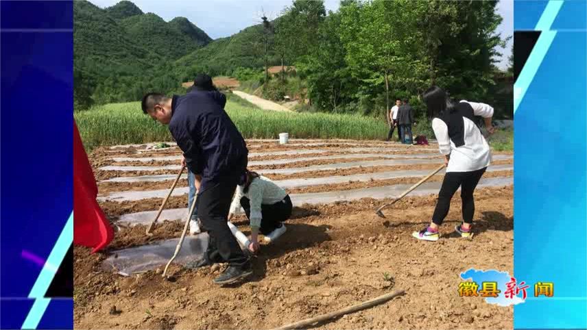 6-19【图片】水阳镇联合县委办开展“我为群众办实事”实践活动