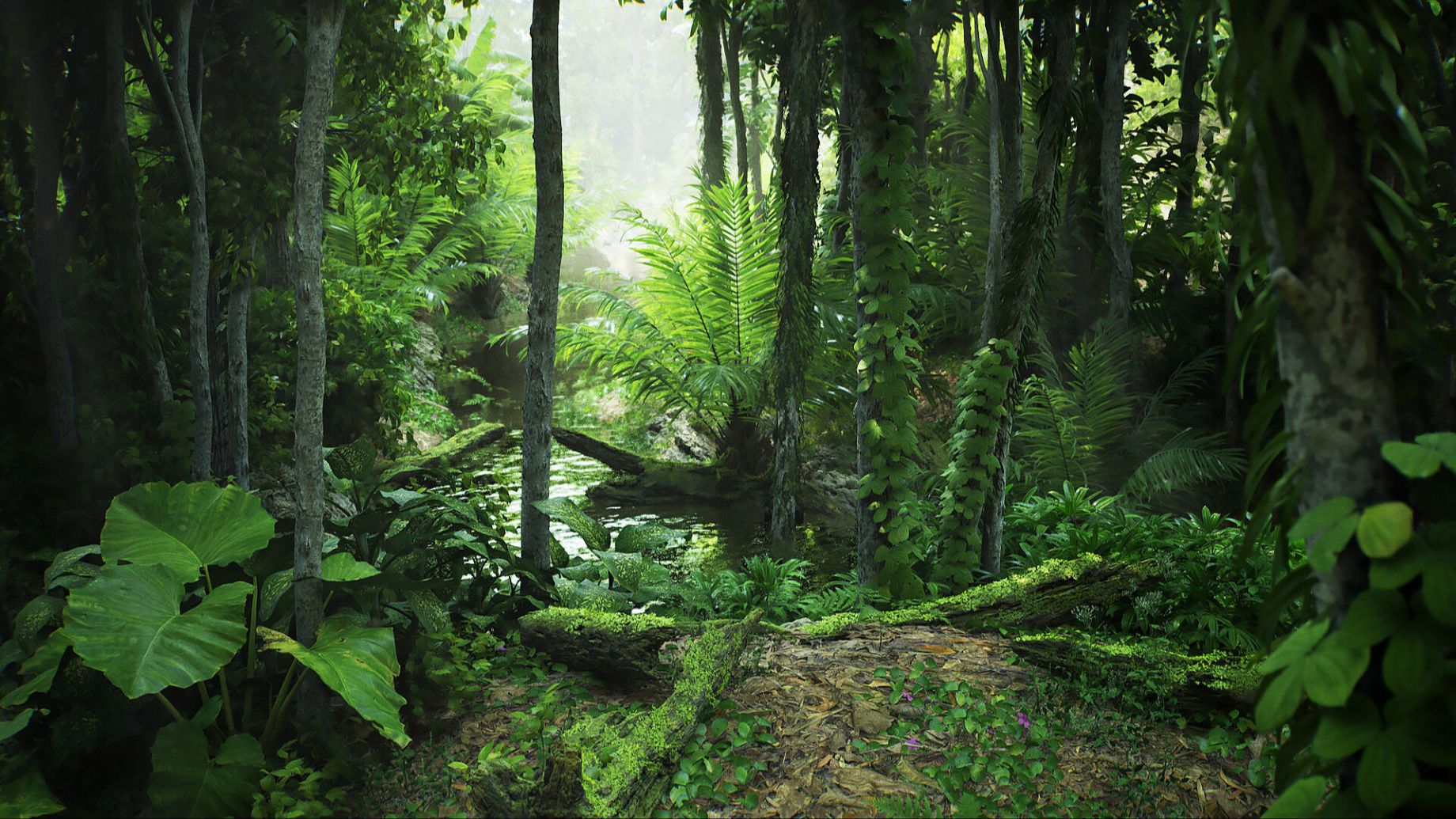 热带雨林岛屿虚拟漫步宁静放松 - 虚幻引擎5 超级最高画质