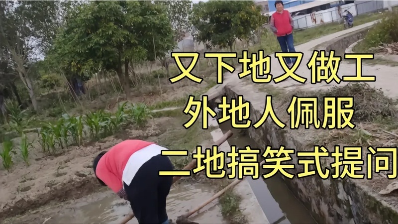 二弟佩服的五体投地,和广东阿姨聊两小时,临走又送二弟大把甘蔗