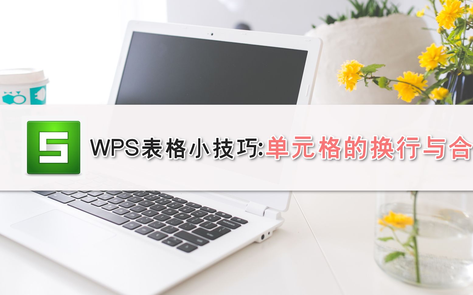 WPS表格小技巧:单元格的换行与合并