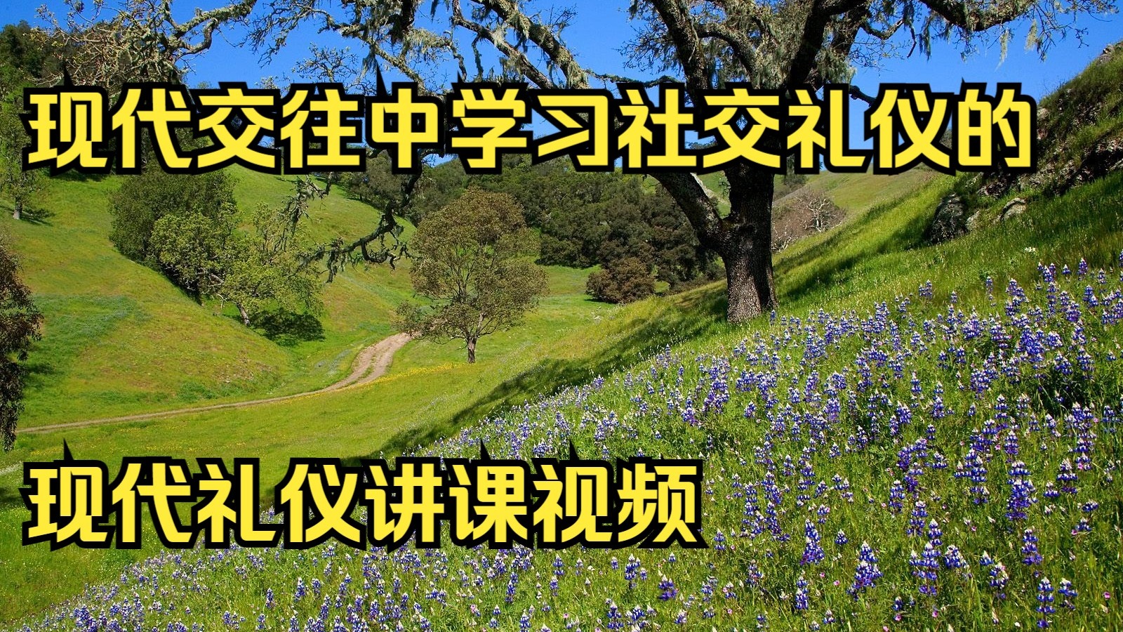 现代交往中学习社交礼仪的功能 现代礼仪讲课视频 现代商务礼仪 视