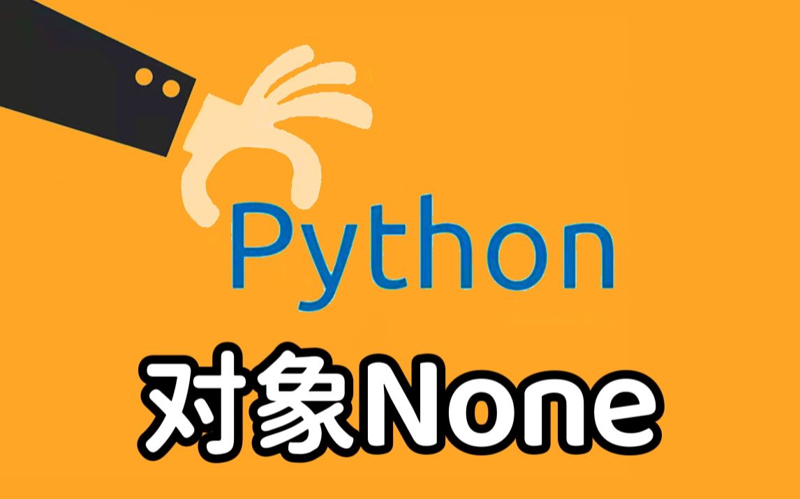 【2022最新Python入门教程】32 对象None | 全套 保姆级 有手就行 | ...