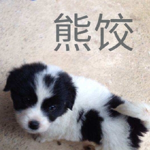 熊饺快乐 