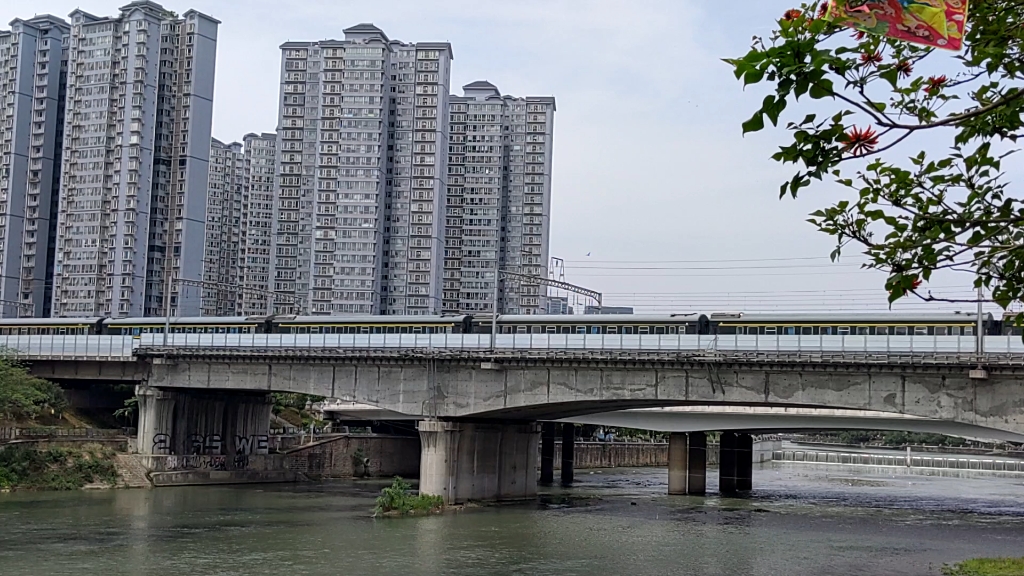 【京攀快车】K817次列车驶出成都东站【成昆复线唯一绿皮】