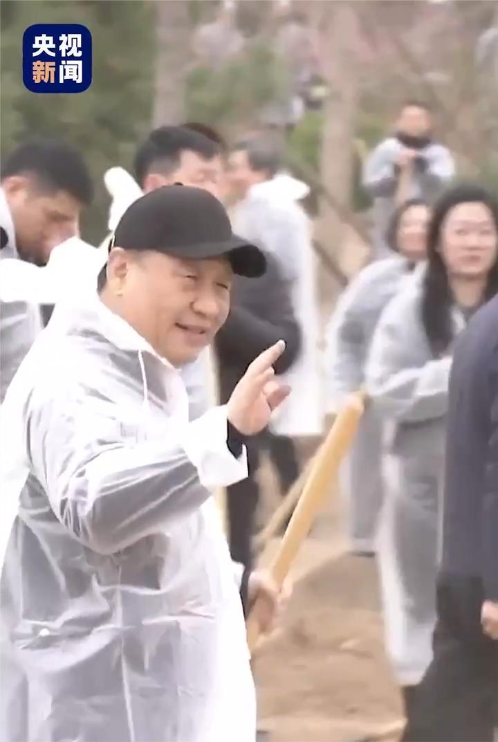 现场视频!习近平参加首都义务植树活动