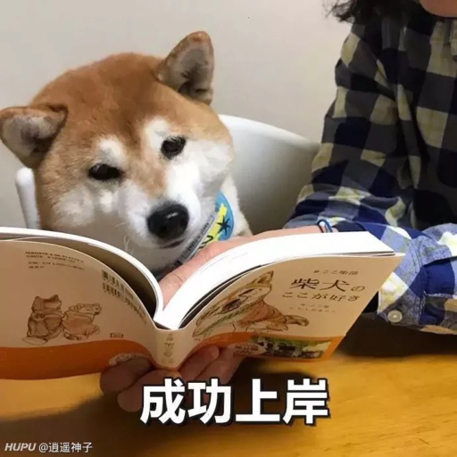 别和吊丝谈勇气和希望 