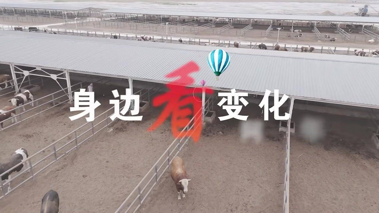 身边看变化丨第十一期:近年来,阿图什市立足畜牧业发展基础,积极探索...