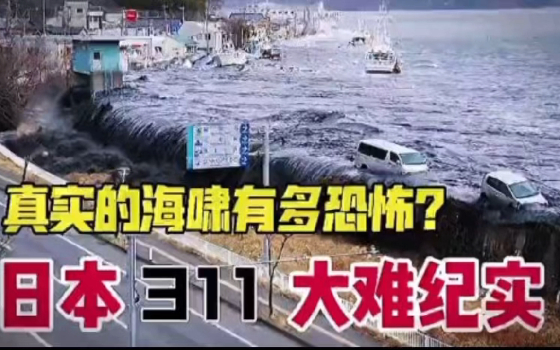 日本311记录,来看看真实的海啸有多恐怖