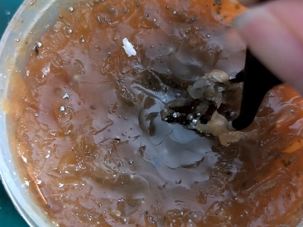 美味焊锡膏