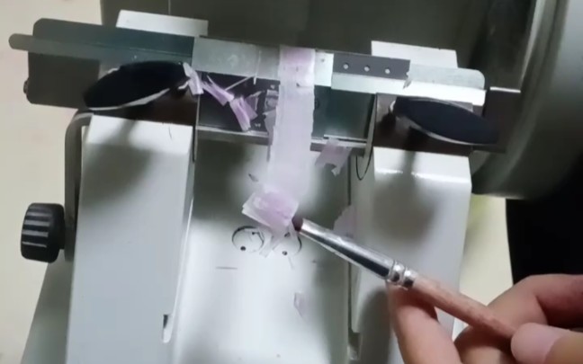 病理切片,石蜡切片,徕卡切片机,莱兹切片机切片工艺展示。