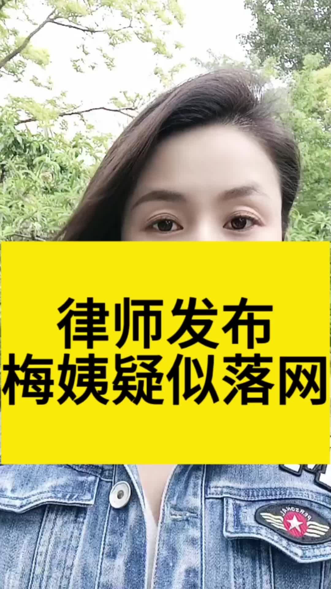 孙卓案代理律师发布信息,梅姨疑似落网。梅姨共犯即将死刑,指认迫在...