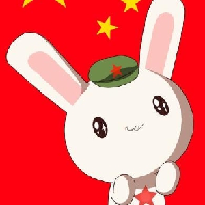 了不起的中国人ls 