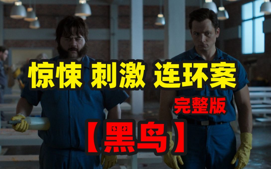 高分美剧《黑鸟》,真实事件改编,超长全集一口气看个过瘾