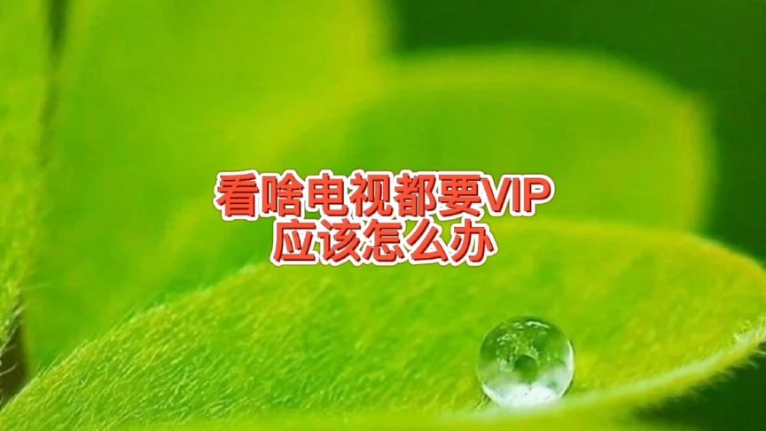 看啥电视都要vip,应该怎么办,开个影视会员可以投屏到电视吗?
