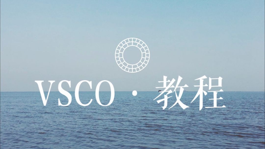 [清晰 480P] 【VSCO全教程】
