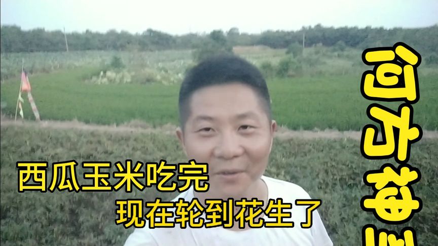 保护野生动物,农民却遭殃了!有什么好的办法吗?