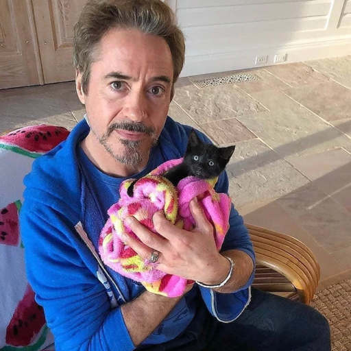 小猪猪高清原创 