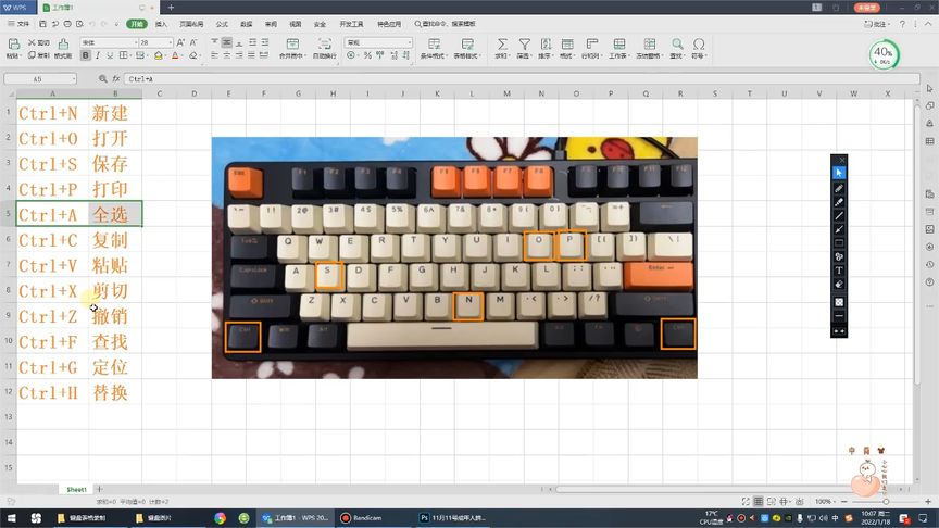 电脑零基础知识,wps/Word/Excel/ppt/办公软件教学
