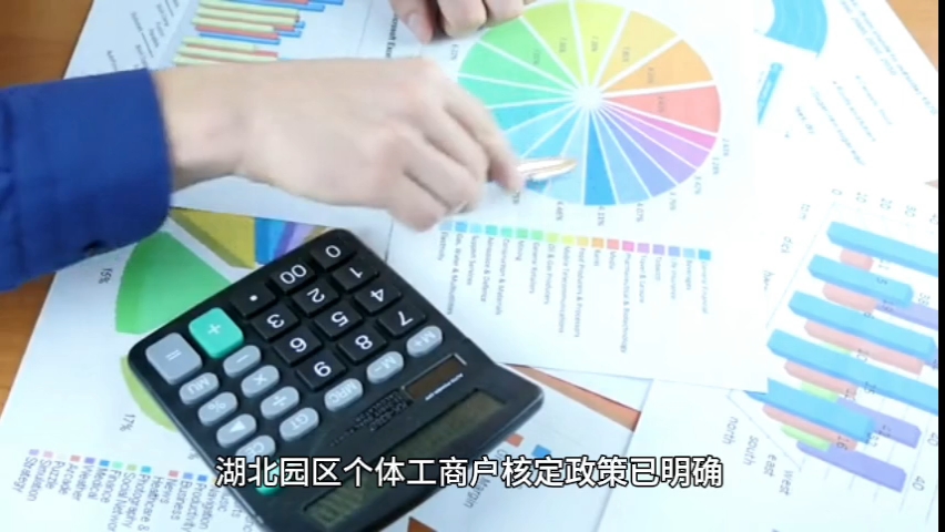 系统和纸质双核定!湖北园区个体工商户核定税率0.5%!