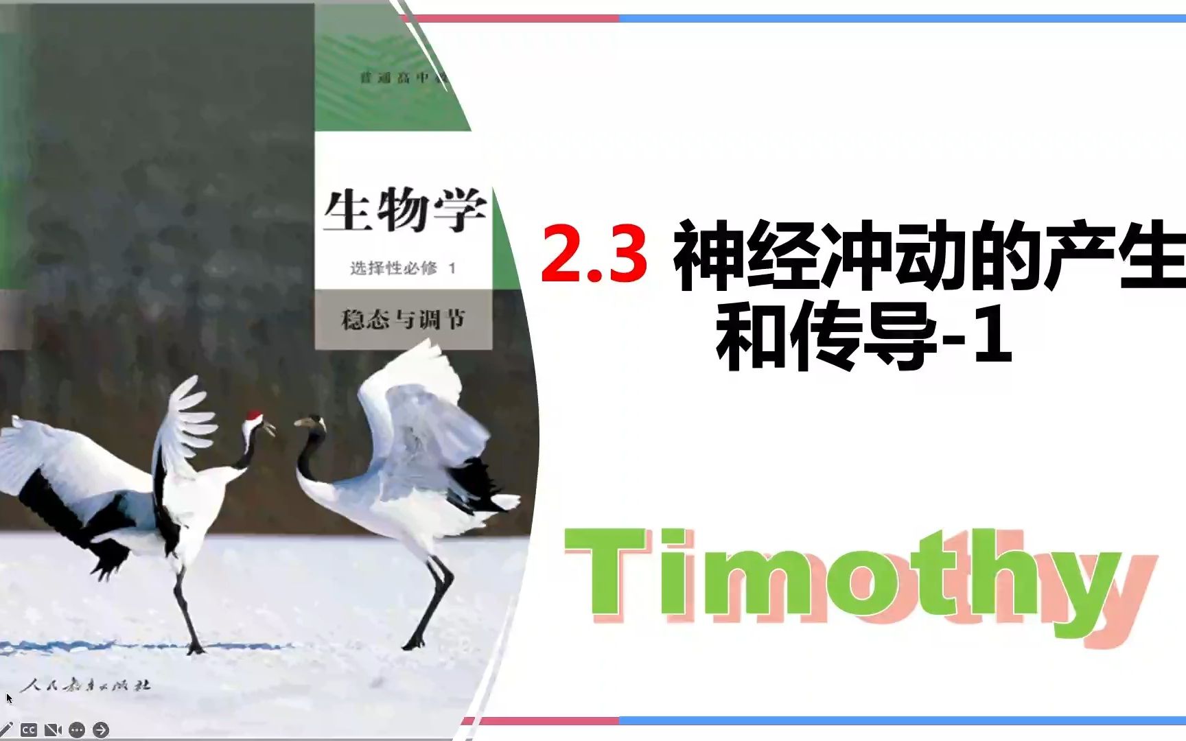 ...性必修1】2.3-1神经冲动的产生和传导静息电位动作电位差去极化反...