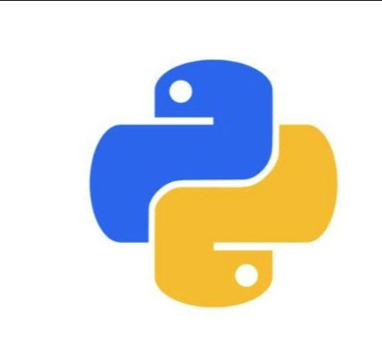 AI大模型开发-qp 