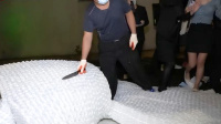 吃瓜福利社 汪小菲直播销毁200万床垫全过程 内部构造也完全曝光