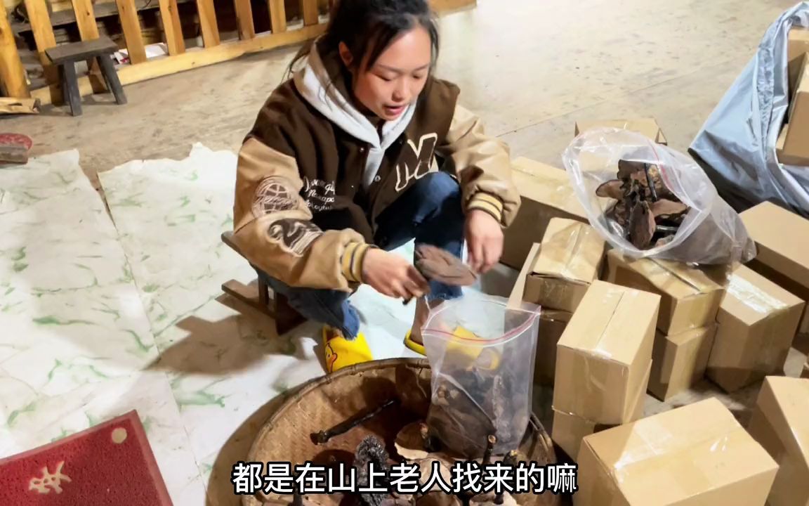 野生灵芝可以长期天天喝吗?有什么效果与作用,你知道吗?