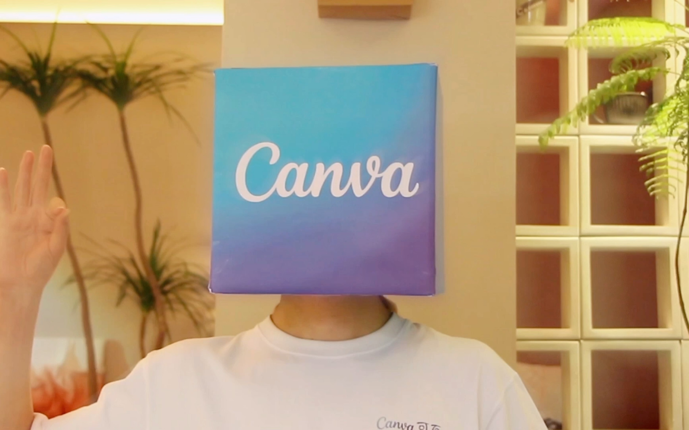 【大广赛】canva可画 我有一个叫可画的朋友
