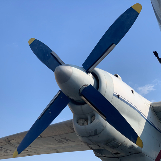 不会飞的小骁骑 