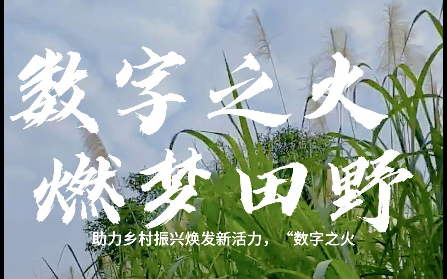 杭州医学院2022暑期重点社会实践团——数字之火,燃梦田野