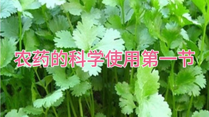 农药的科学使用第一节