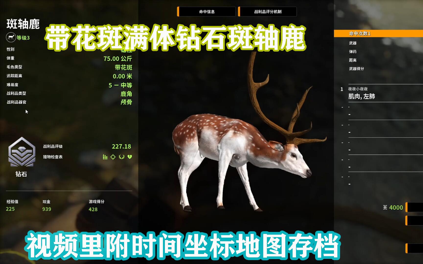 【粉丝投稿】带花斑满体钻石斑轴鹿,视频里附时间坐标地图存档。