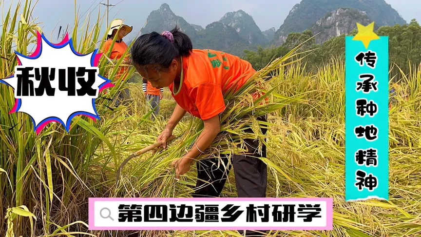 乡村研学:为什么要让中小学生参加劳动实践课?广州家长有远见