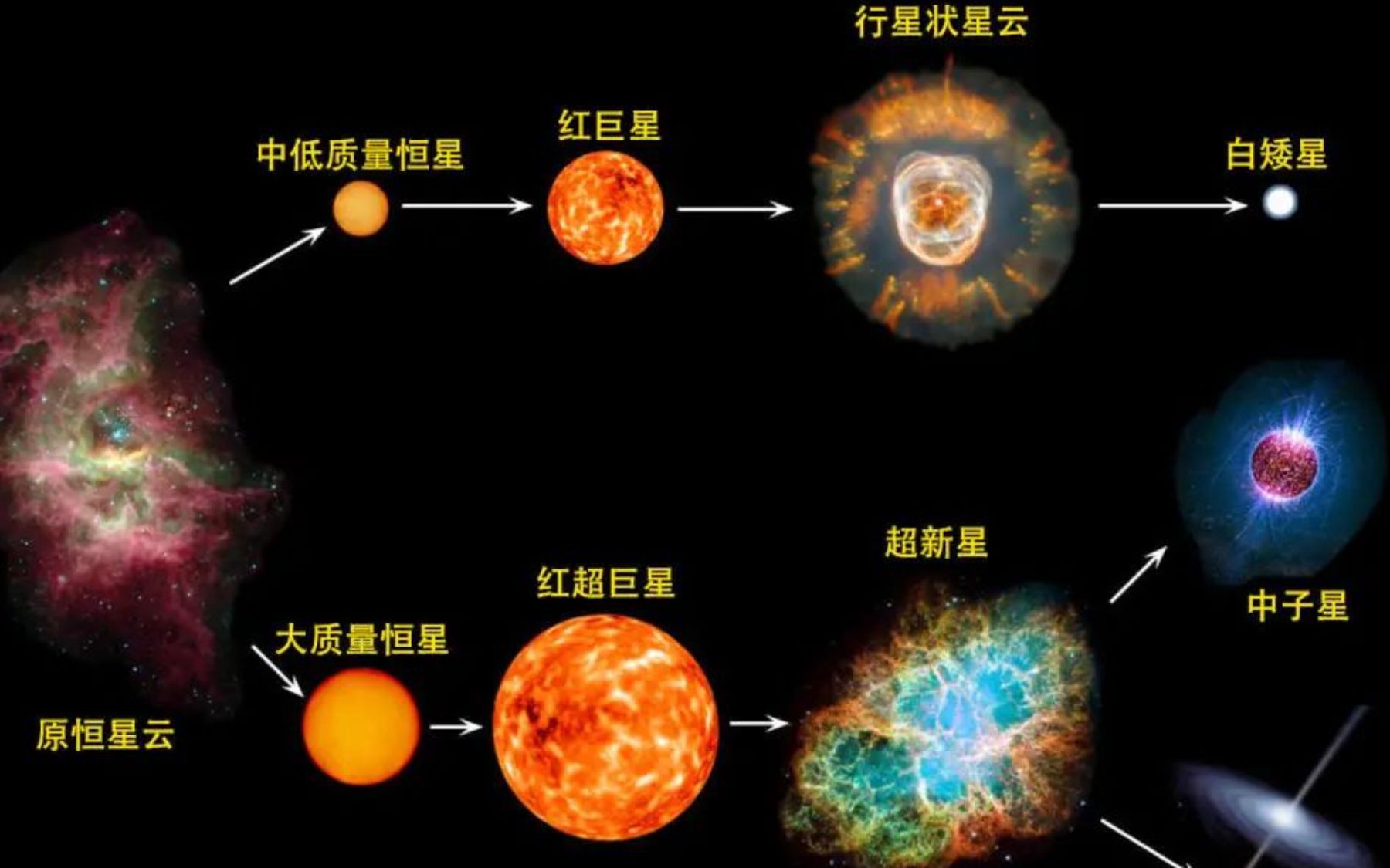 恒星演化科普(含氦闪)
