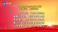 四中全会精神解读(二):推进依法行政 建设法治政府[浙江新闻联播]
