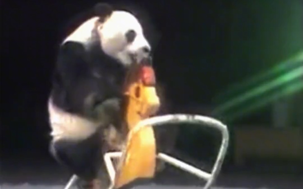 1983年,身形圆滚滚的大熊猫“伟伟”登上了春晚的舞台,为全国的观众...