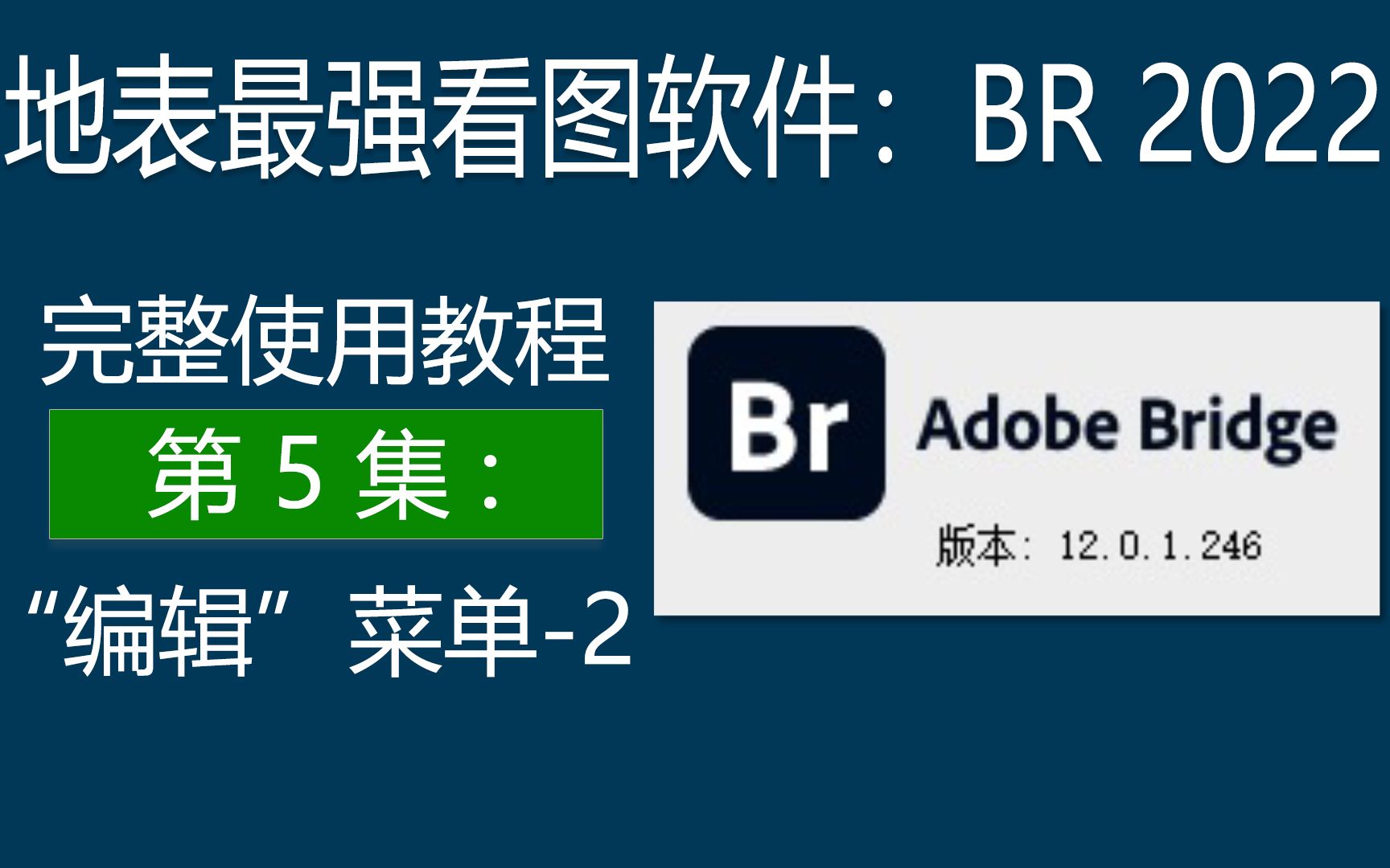 地表最强看图软件:BR2022完整教程第5集-“编辑”菜单-2