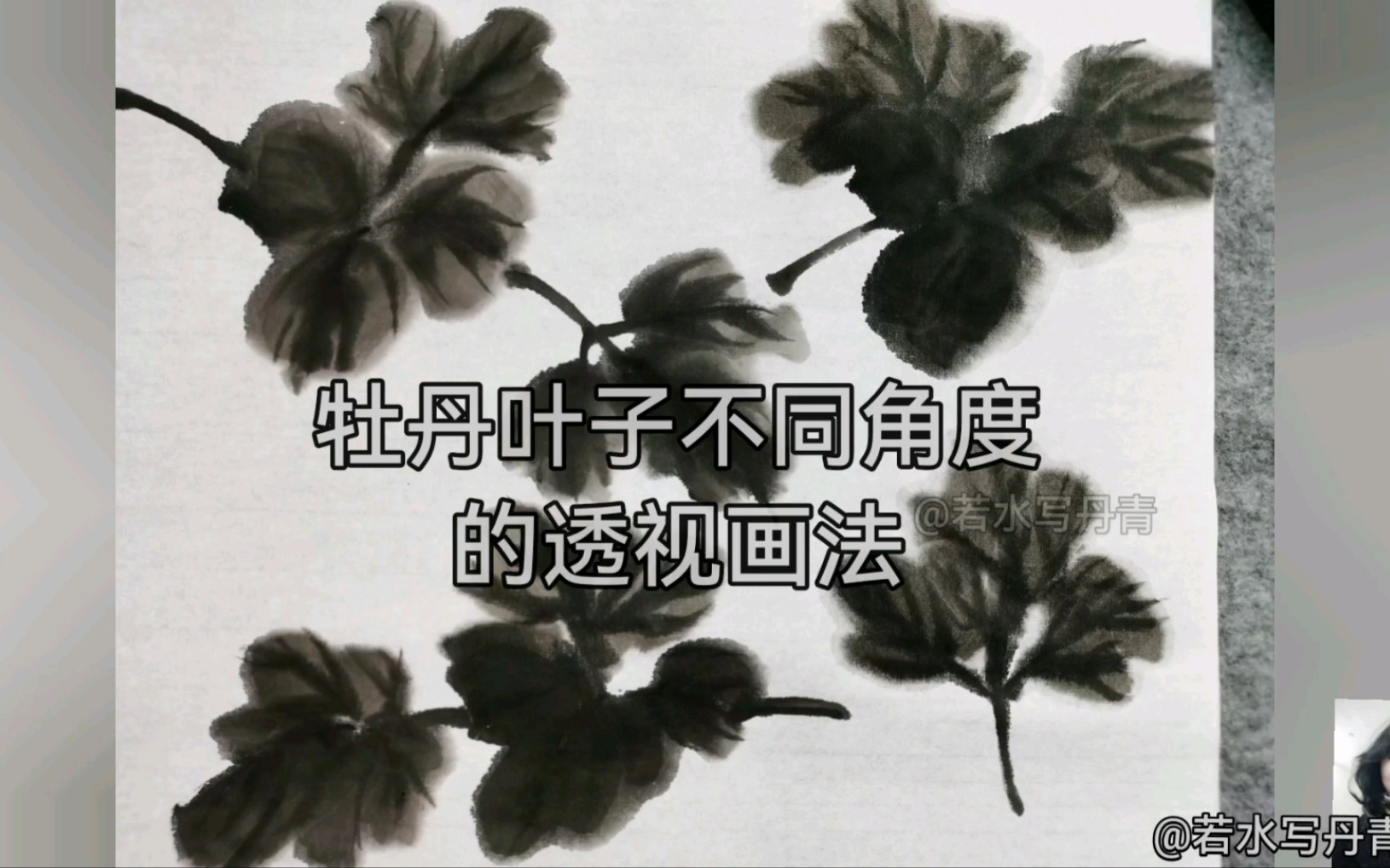 国画水墨牡丹叶子的画法
