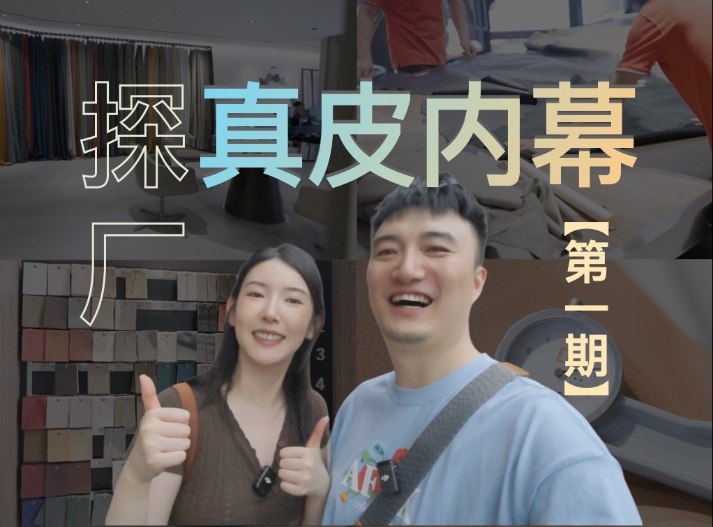 真皮家具怎么选皮?揭露牛皮营销内幕【第一期】
