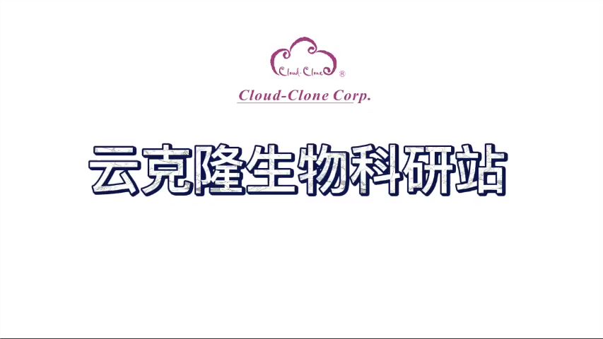 云克隆生物科研站 实验攻略之让你的WB实验结果更完美(上)