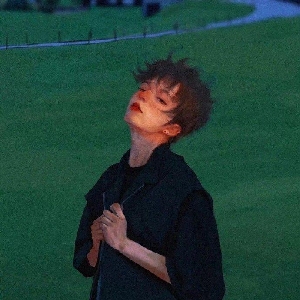 大罗罗乌 