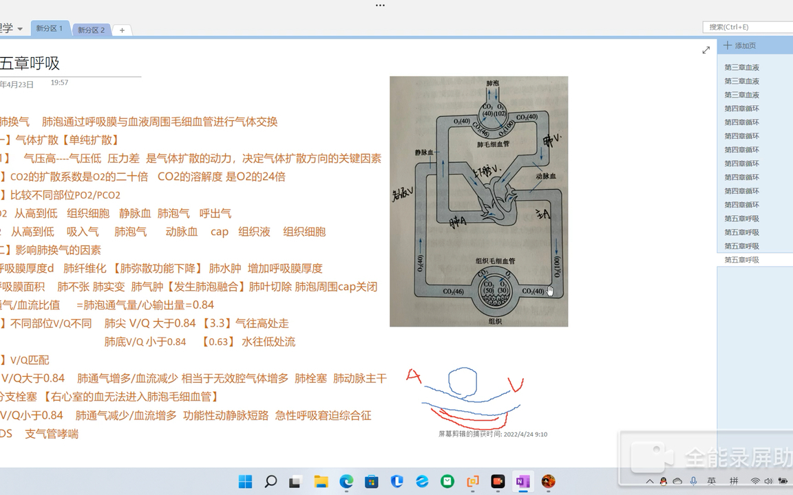 生理学打基础:第五章呼吸,怎样理解各部分氧气和二氧化碳分压。