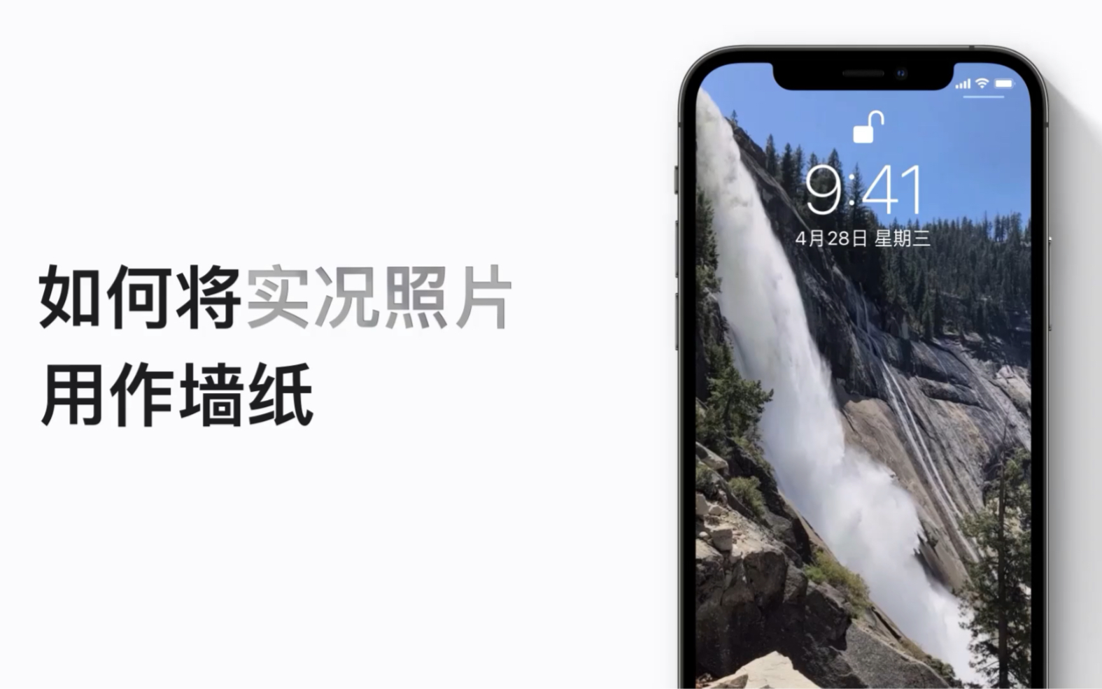 如何将实况照片用作墙纸 - Apple 支持