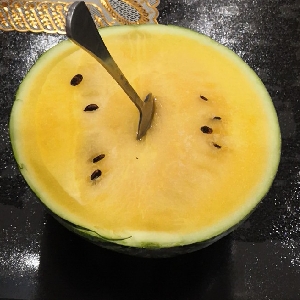 南风清明 