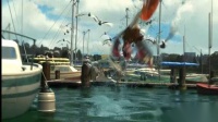 我在海底总动员截了一段小视频