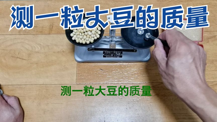一粒大豆质量很小,天平不能直接测量怎么办?试试这种方法吧!
