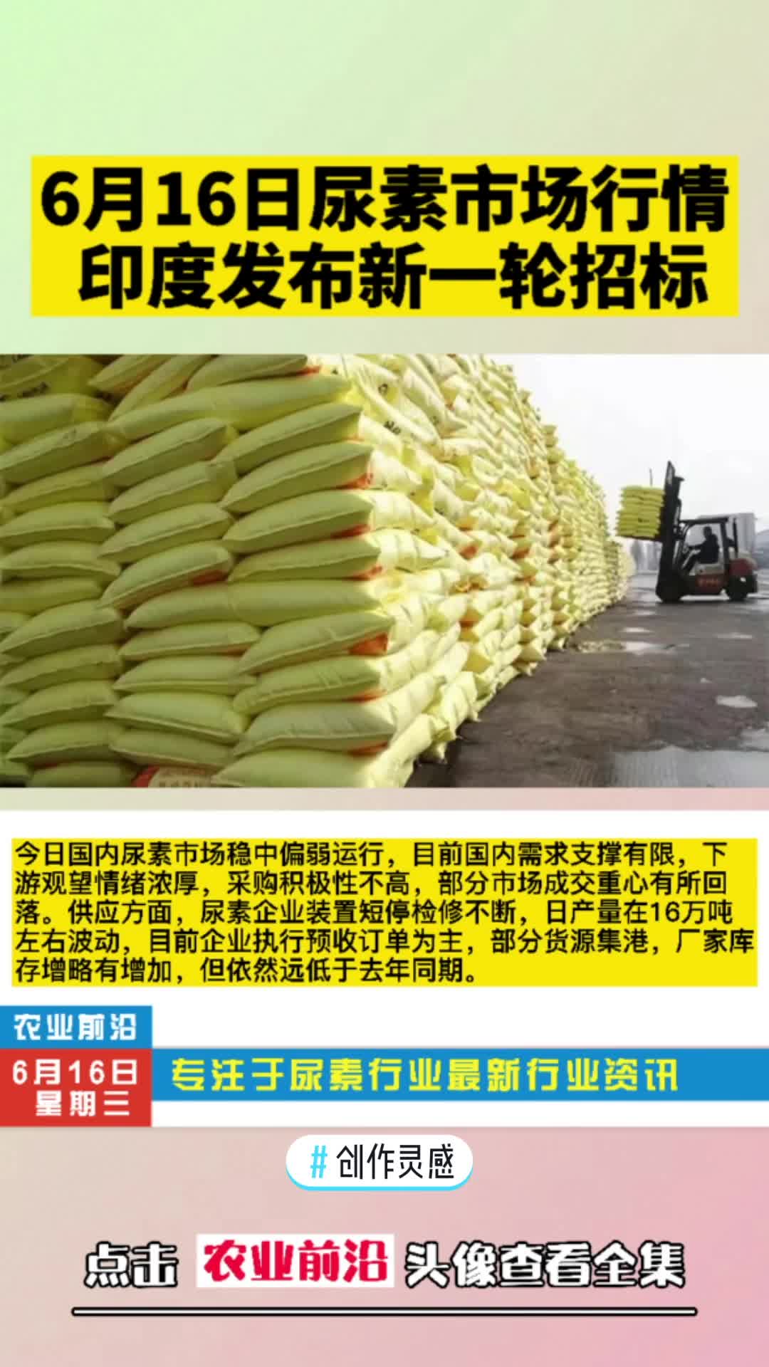 #创作灵感 6月16日尿素市场行情 印度发布新一轮招标#新农人计划...