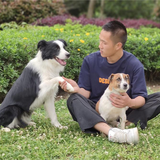 宠物训犬师 