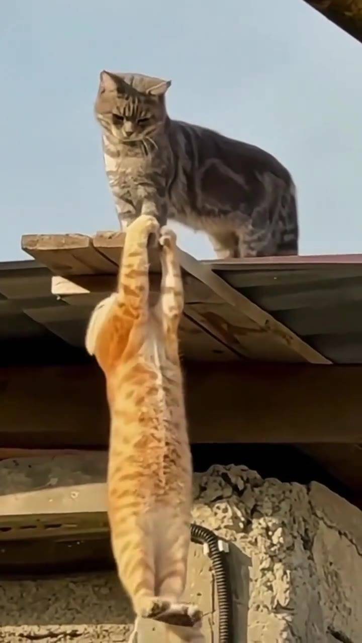 我要那玩意儿没用