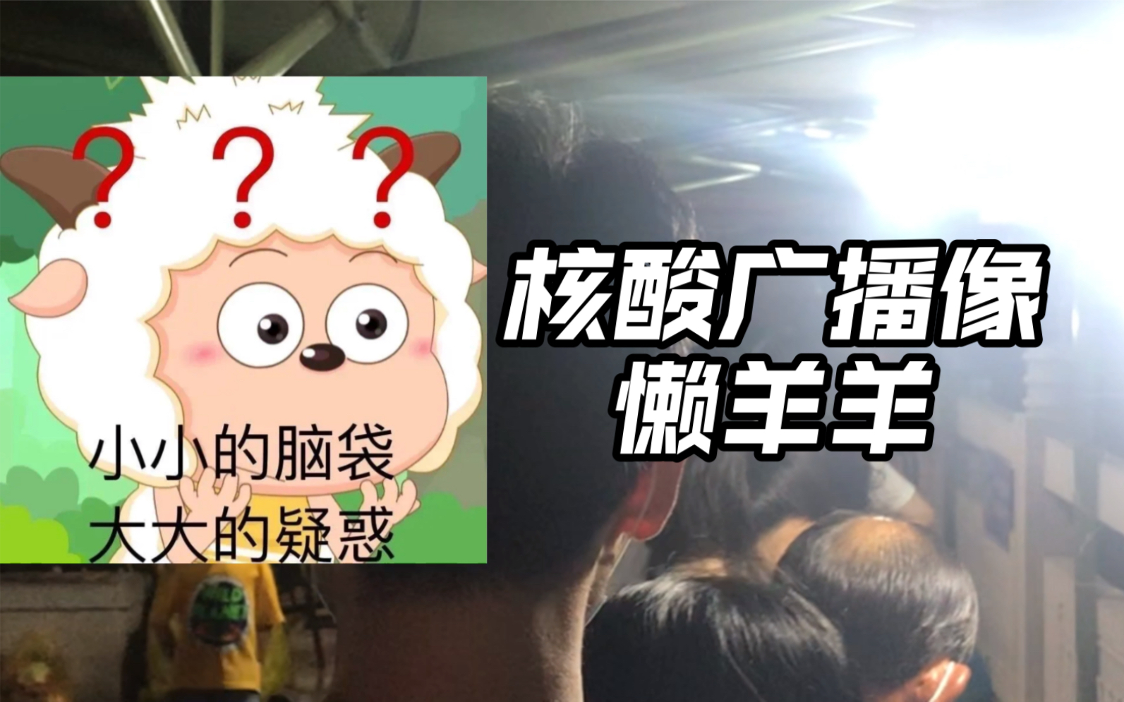 做核酸遇到懒羊羊是种什么体验
